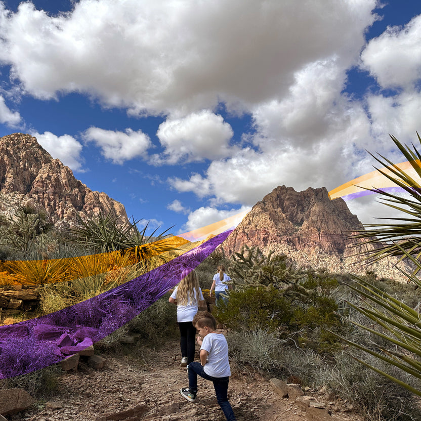 Wild is Calling Home – Wild Is Calling